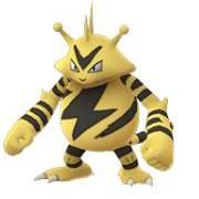 Electabuzz Evolution Chain